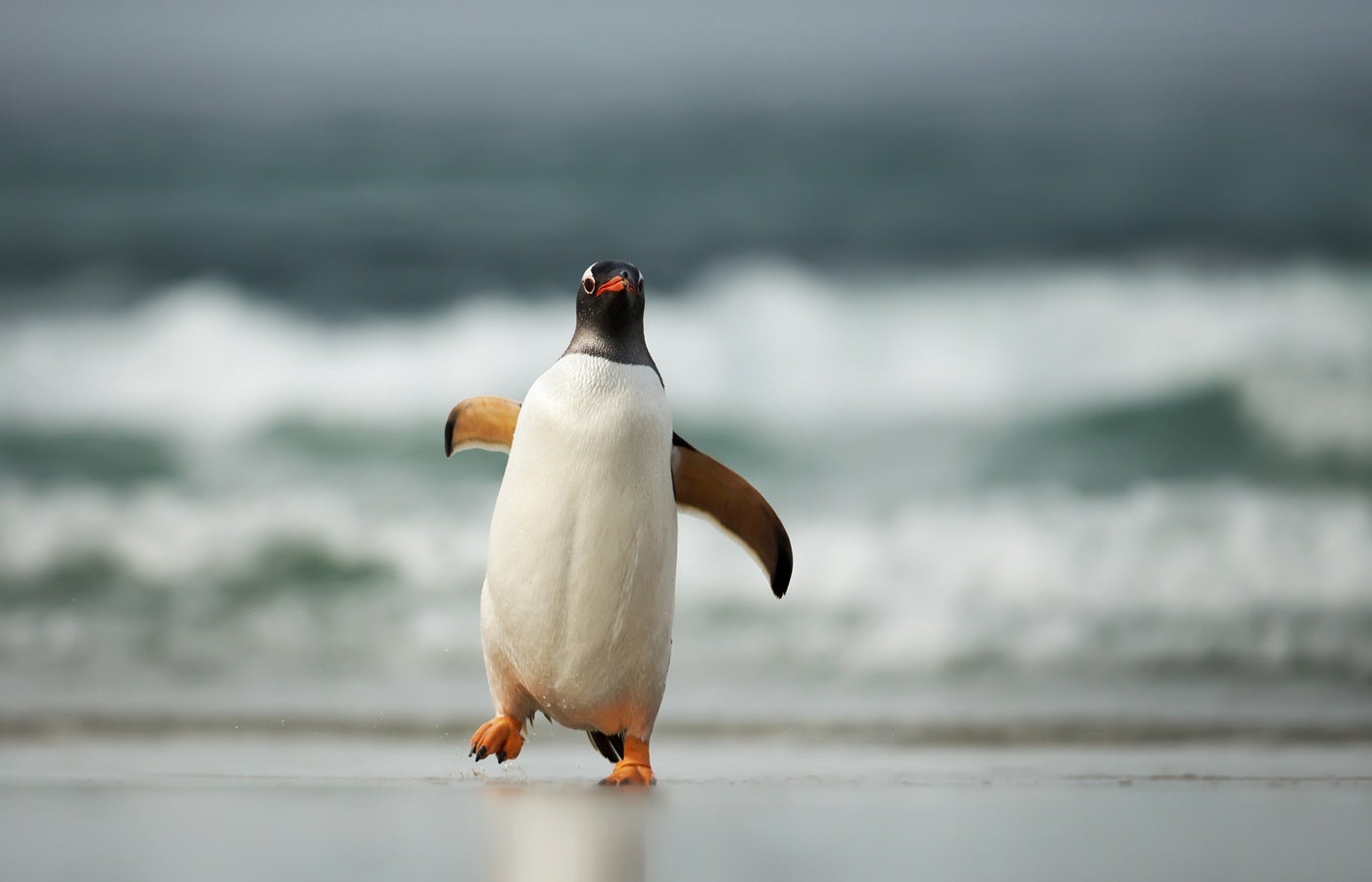 Setting Up an SFTP Server on Linux: A Step-by-Step Guide - GLOBUS.studio Setting Up an SFTP Server on Linux: A Step-by-Step Guide - GLOBUS.studio